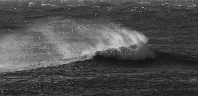 Waves with Strong Wind after a Storm, Stock Image - Image of seas ...