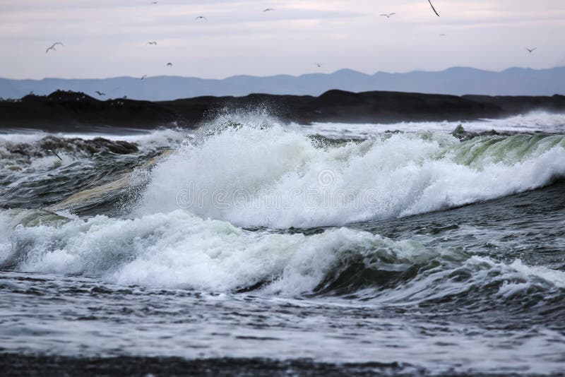 The waves during a surf stock image. Image of surf, elements - 79898747