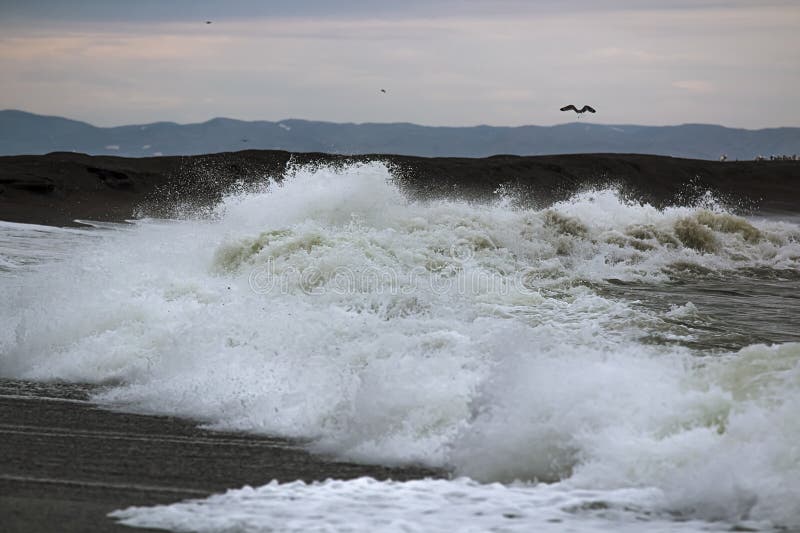 The waves during a surf stock image. Image of elements - 79898797