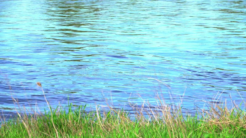 Waves on the Surface of a River in a Natural Setting. Stock Video ...