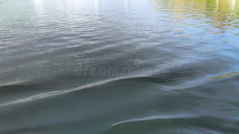 Waves on the Surface of the Water from a Sailing Ship. Waves from a ...