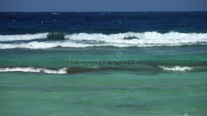 The Waves of the Turquoise Indian Ocean Roll Towards the Coast Stock ...