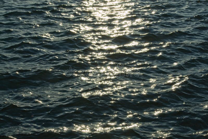 Waves on the water stock photo. Image of beach, lake - 258890074