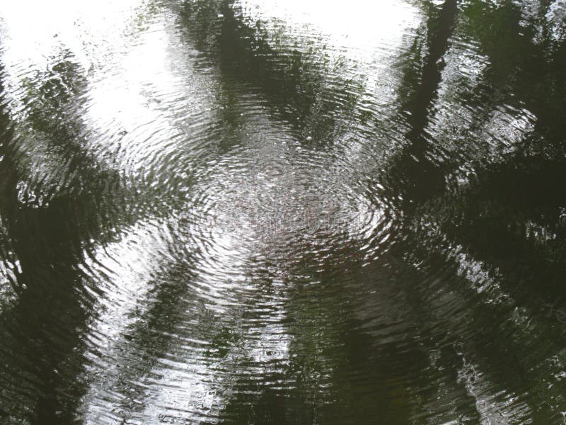 Waves on water stock image. Image of swamp, lots, bank - 91128023