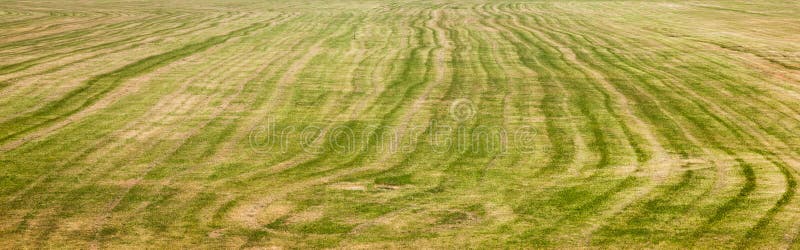 Wavey green grass stock photo. Image of mown, grass, lines - 14016504