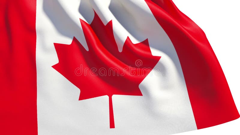 Canada Flag Animation, Multiple Hand Hold Canadian Flag, Independence ...
