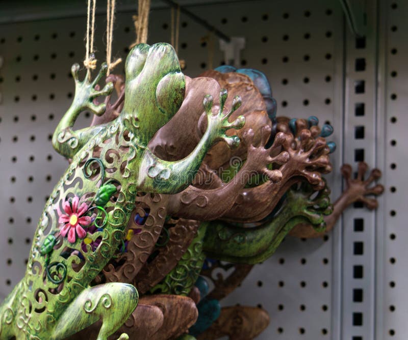 Pet store frogs stock photo. Image of gris, store, morning - 68347464