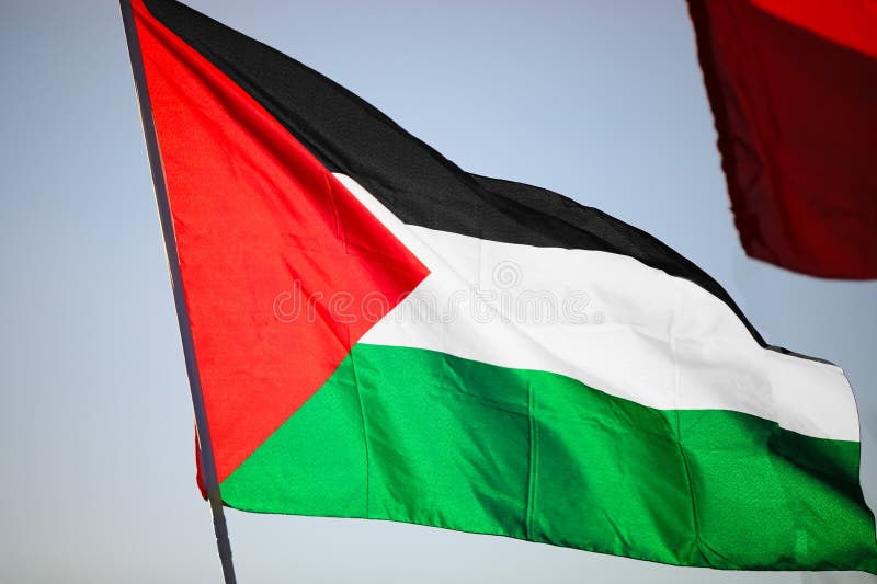Waving Palestinian Flag during the Peaceful Demonstration Stock Image ...