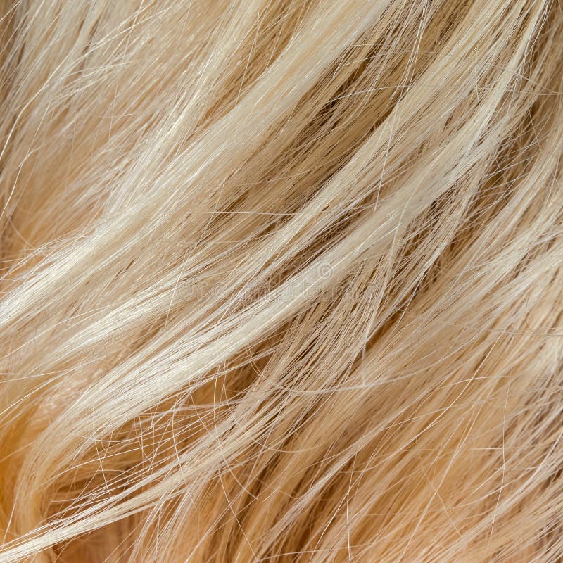 Wavy Blonde Hair Side View in Profile. Copycpase Stock Photo - Image of ...