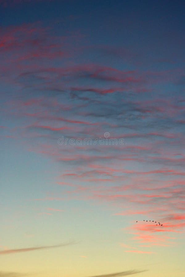 Wavy Colored Lines of Clouds in Sky at Sunset Stock Image - Image of ...