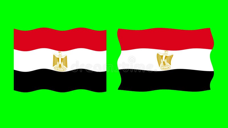 Wavy Egypt Flag Motion Graphics with Green Screen Background Stock ...