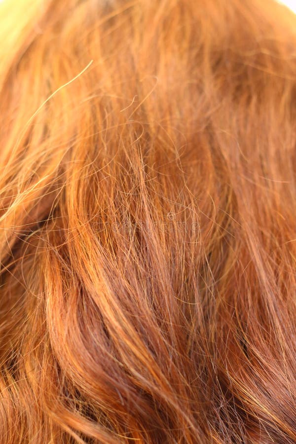 Wavy Gold Hairs of a Beautiful Women Stock Photo - Image of back ...