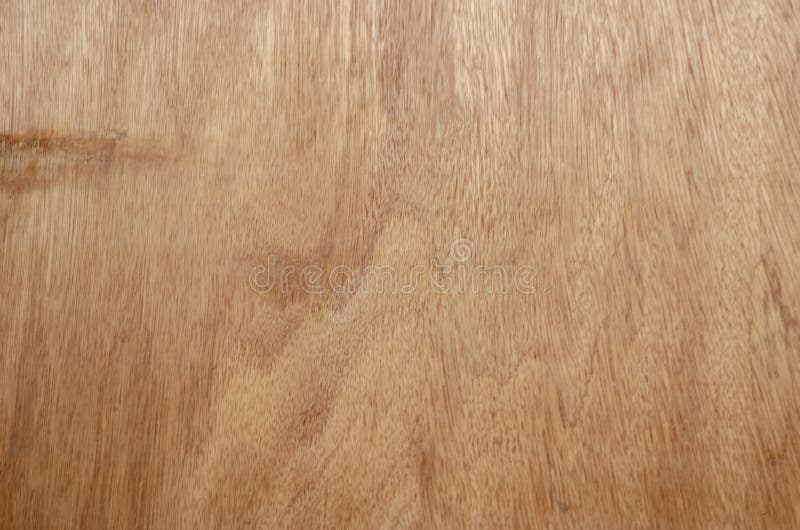 Ply Board Texture stock photo. Image of pale, line, surfaced - 147515278