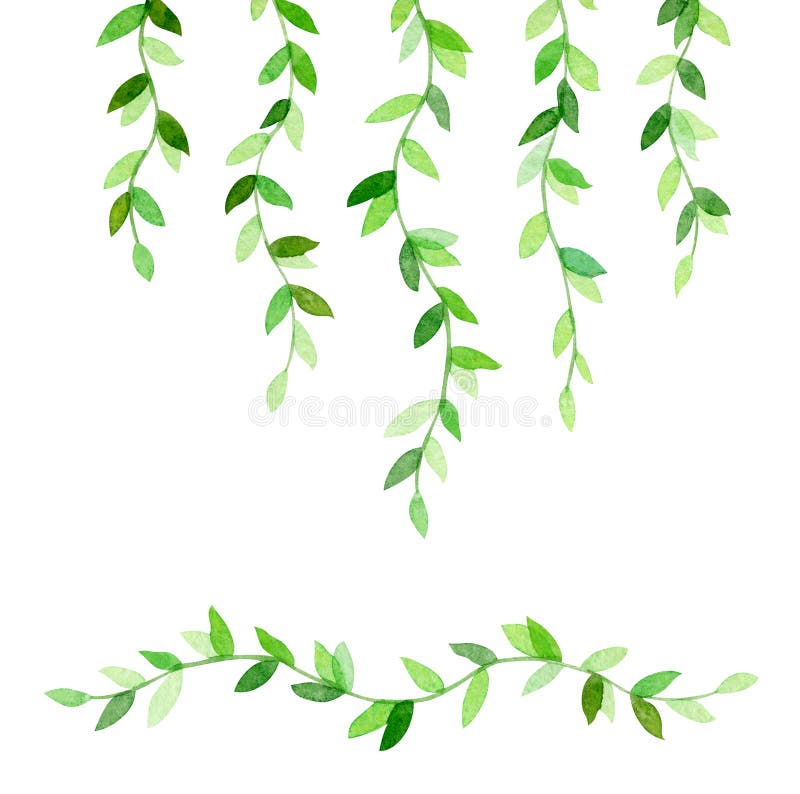 Wavy green branches stock illustration. Illustration of fresh - 43912513