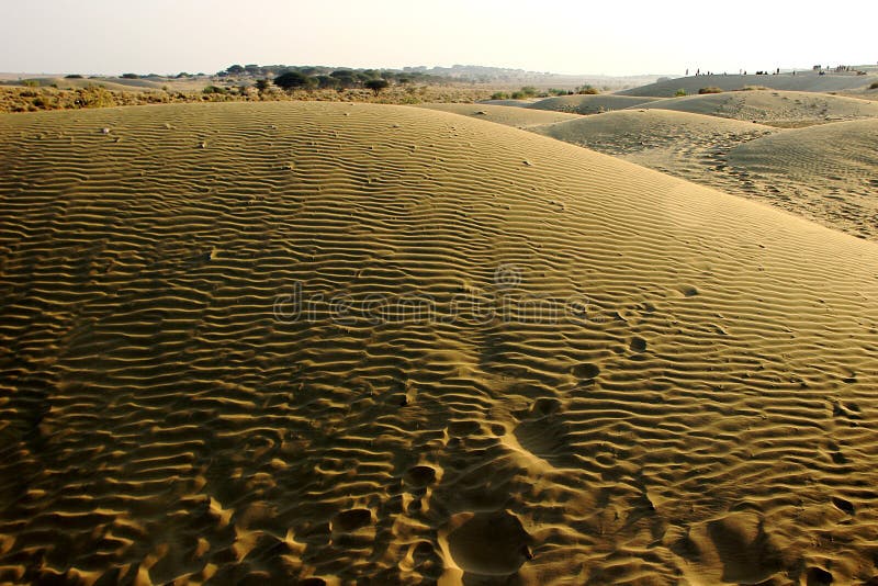Wavy Pattern on Sand Dune stock photo. Image of form - 86663188