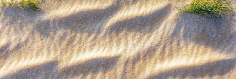Wavy Patterns of Sunlit Sand Dunes with Grassy Tufts in Coastal ...