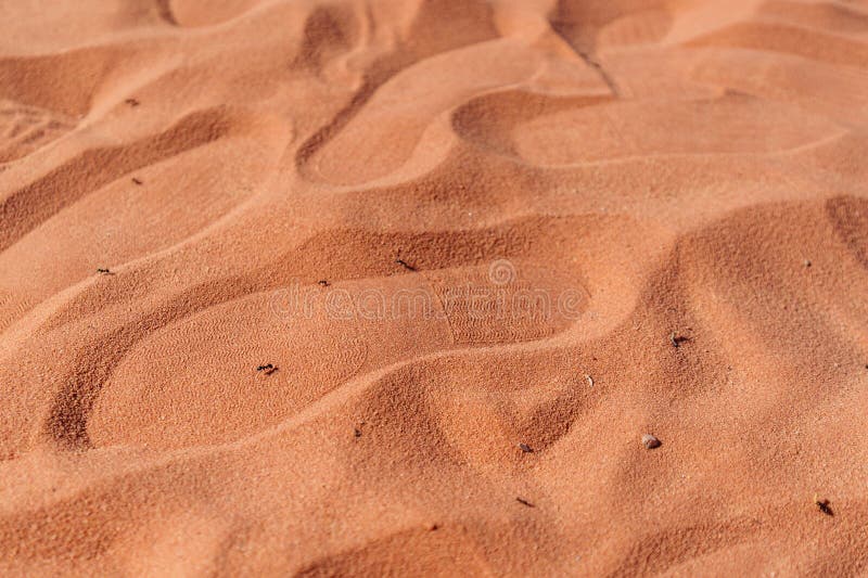 Wavy Red Desert Sand Surface Featuring Human Footprints and Natural ...