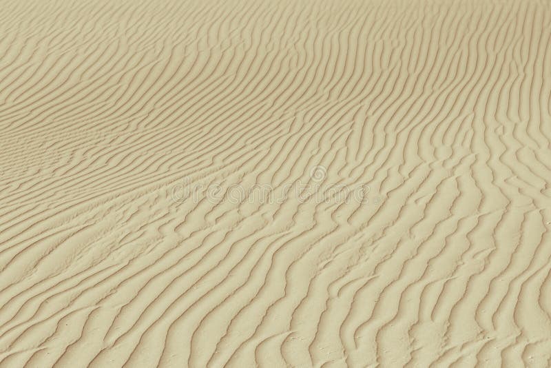 Wavy Rippled Desert or Beach Sand Texture and Background Stock Image ...