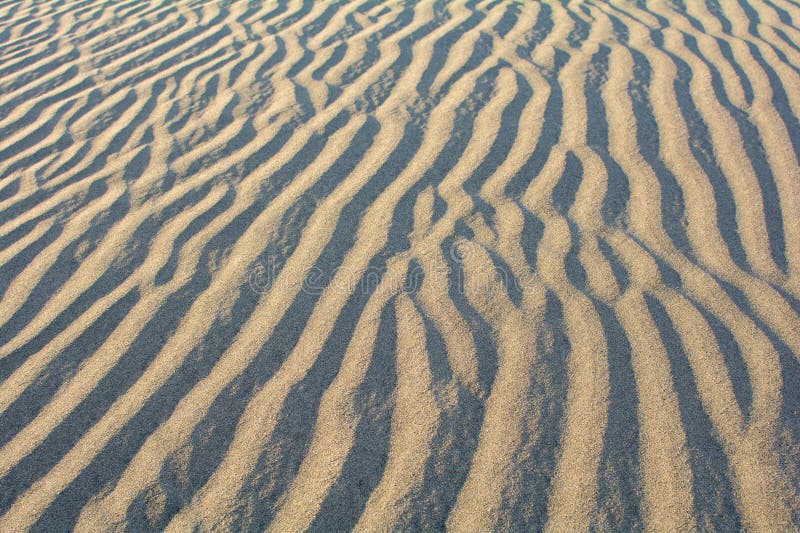 Wavy sand on a dune stock photo. Image of dryness, environment - 300575208