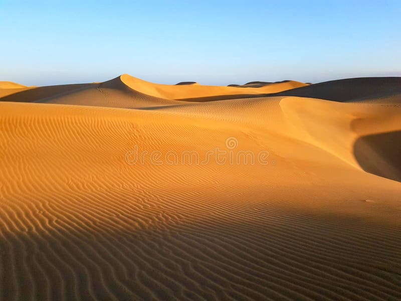 Sand Dunes in Golden Sunlight with Wave Formations and Soft Blue Sky ...
