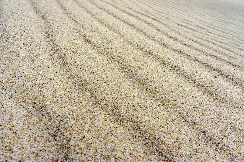 Wavy Sand Surface, Sandy Smooth Sea Shore, Sand Ripples Stock Photo ...