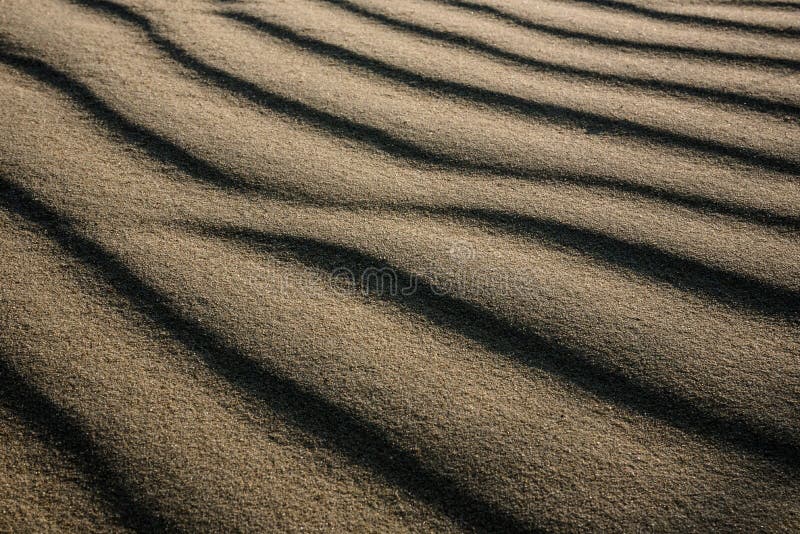 Wavy sand texture stock photo. Image of detail, sahara - 77290118