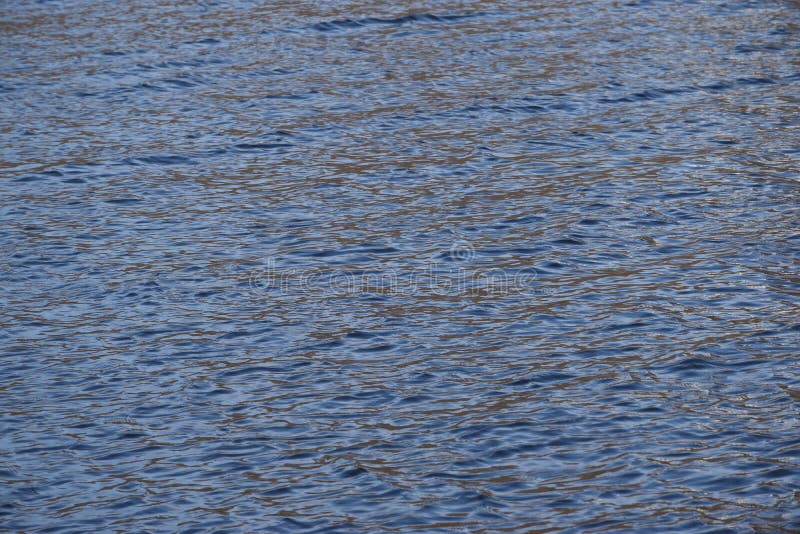 Wavy Surface of the River on a Sunny Day Stock Photo - Image of view ...