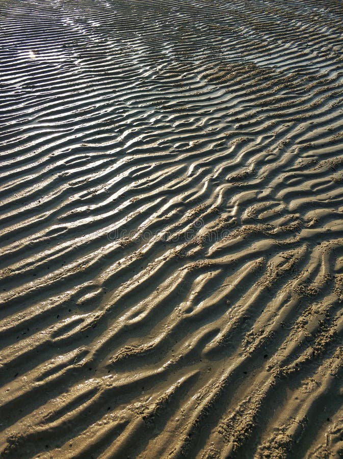 Wavy Surface of the Sandy Ocean Floor Near the Shore at Low Tide Stock ...