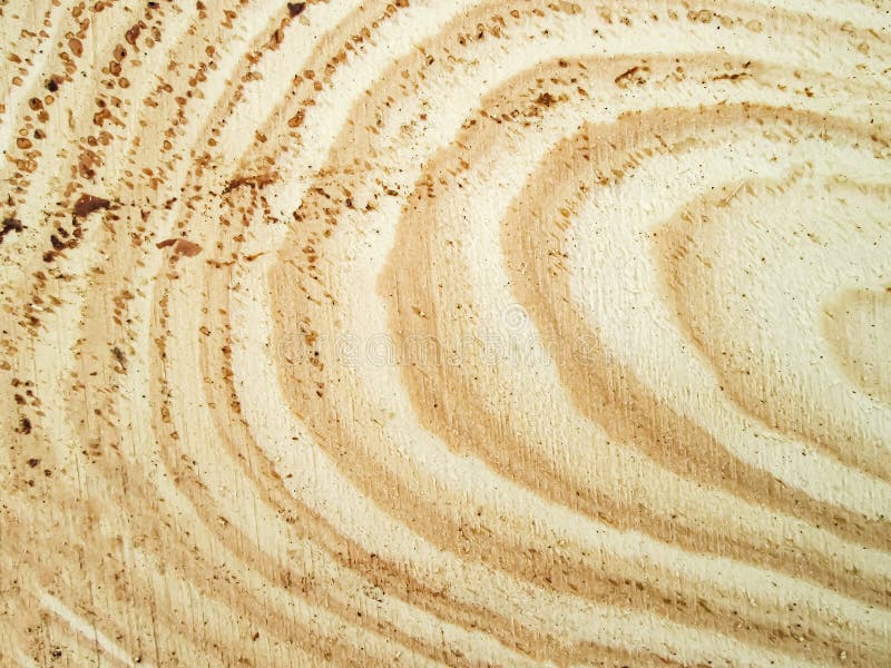 Wavy Texture of a Cut of a Tree. Stock Image - Image of detail, history ...