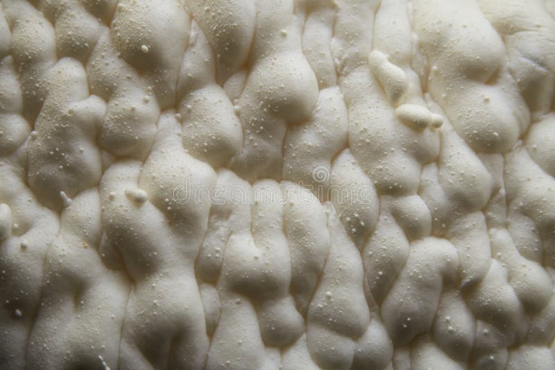 Wavy Texture of Mounting Foam Close-up Stock Photo - Image of insulate ...