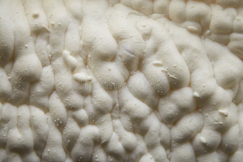 Wavy Texture of Mounting Foam Close-up Stock Photo - Image of closeup ...