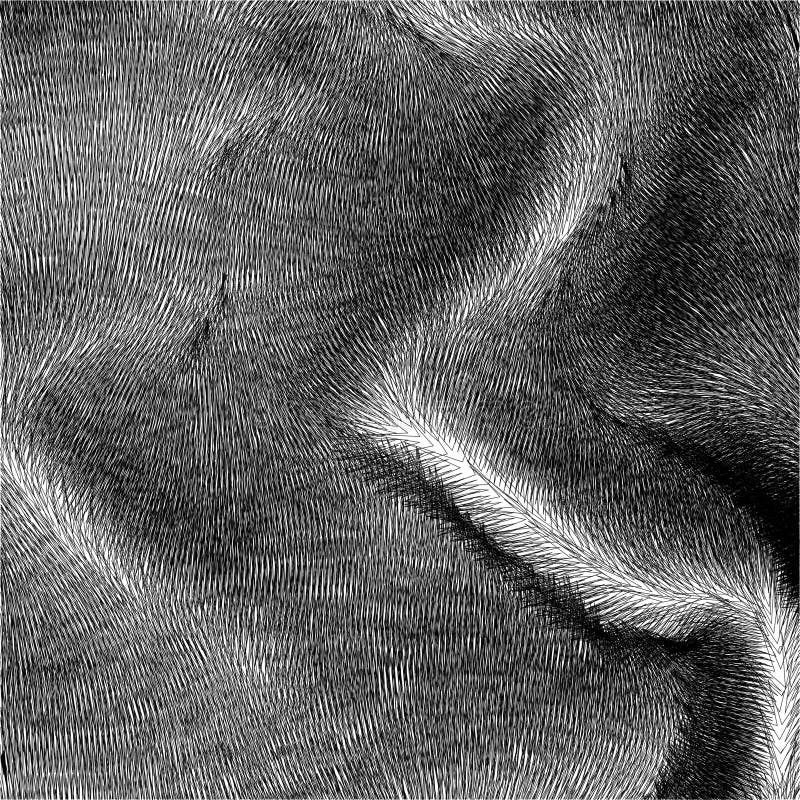 Wavy vector fur with folds stock vector. Illustration of structure ...