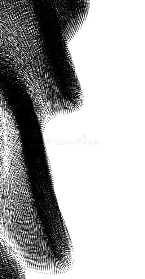 Wavy vector fur with folds stock vector. Illustration of fiber - 280343490