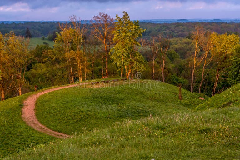 Wavy walkway stock image. Image of lithuanian, trees - 61508045