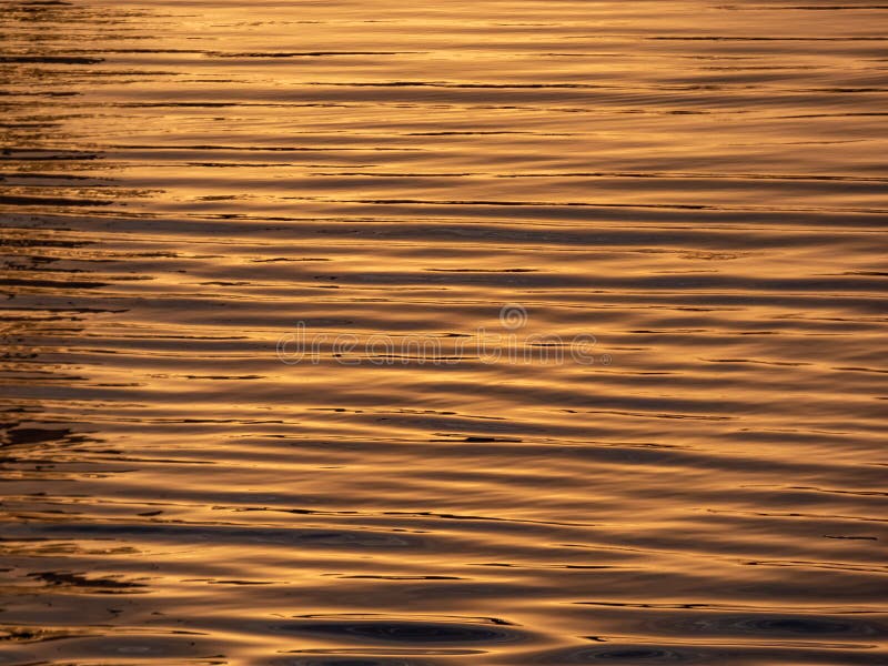 Wavy Water Surface with Golden Sun Reflection and Dark Shadows. Gold ...