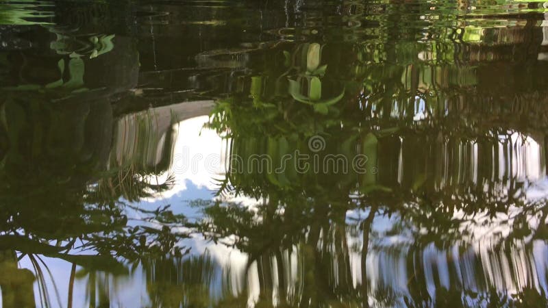 Wavy Water Surface with Reflection of Trees Stock Footage - Video of ...