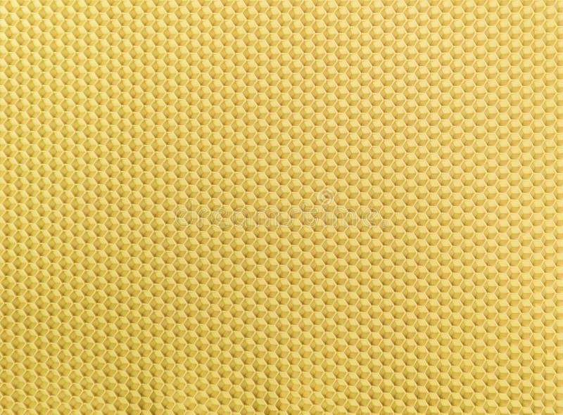 Wax Base or Honeycomb Base (wax Plate) Forming the Base of the ...