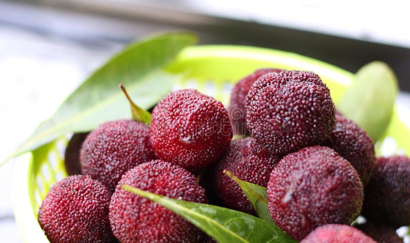 Wax-berry stock image. Image of food, fresh, bright, catering - 9563075