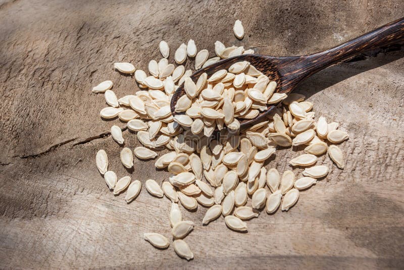 Wax gourd seeds stock photo. Image of concept, farm, black - 34318606