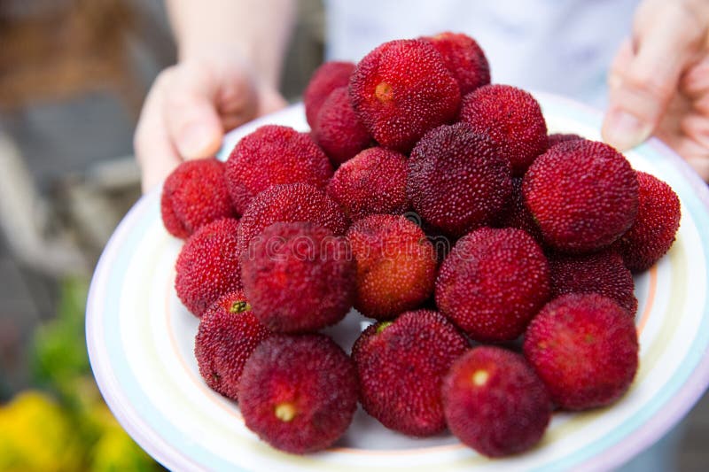 Fresh Waxberry in the Basket Stock Photo - Image of balls, gourmet ...