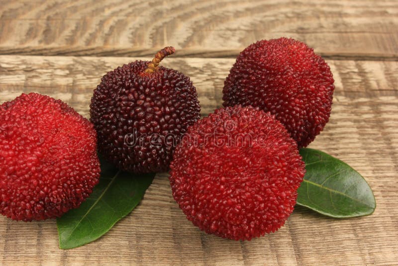 Waxberry or red bayberry stock image. Image of food, leaf - 41287133