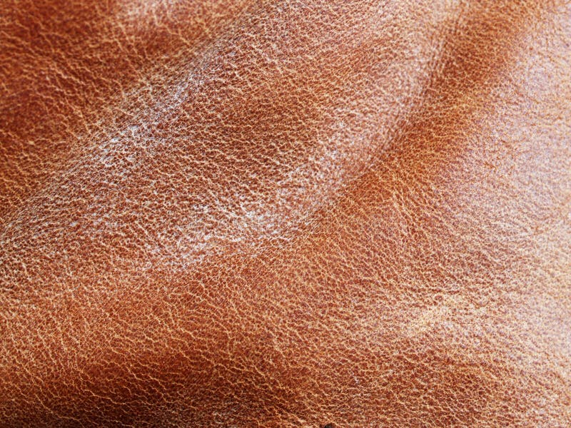 Waxed leather stock image. Image of textured, leather - 13513899