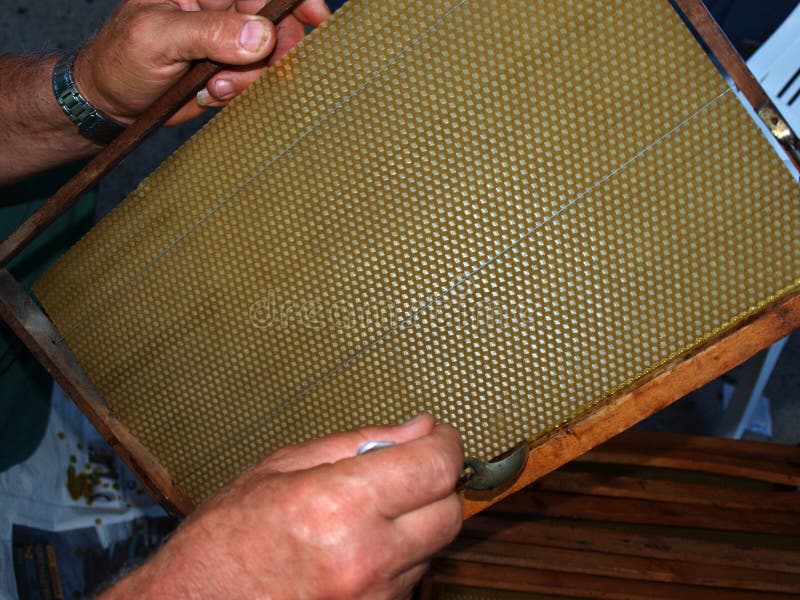 2,124 Brood Frame Stock Photos - Free & Royalty-Free Stock Photos from ...