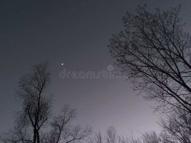 Waxing Michigan moon stock photo. Image of states, black - 316562184