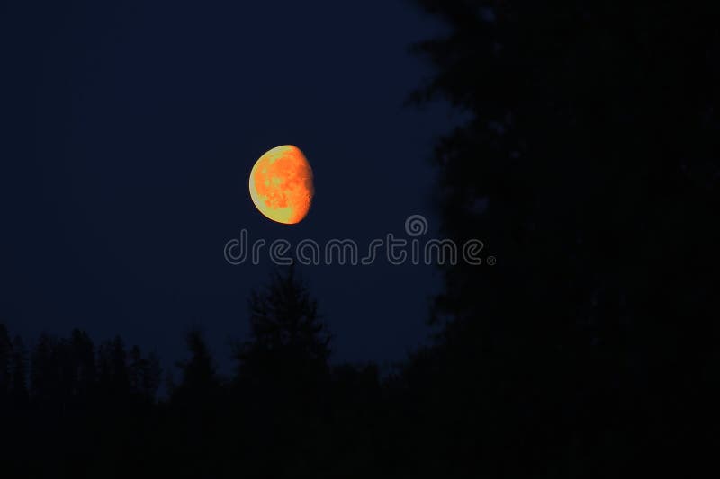 Waxing Moon in Vibrant Orange Color on Night Sky Stock Image - Image of ...