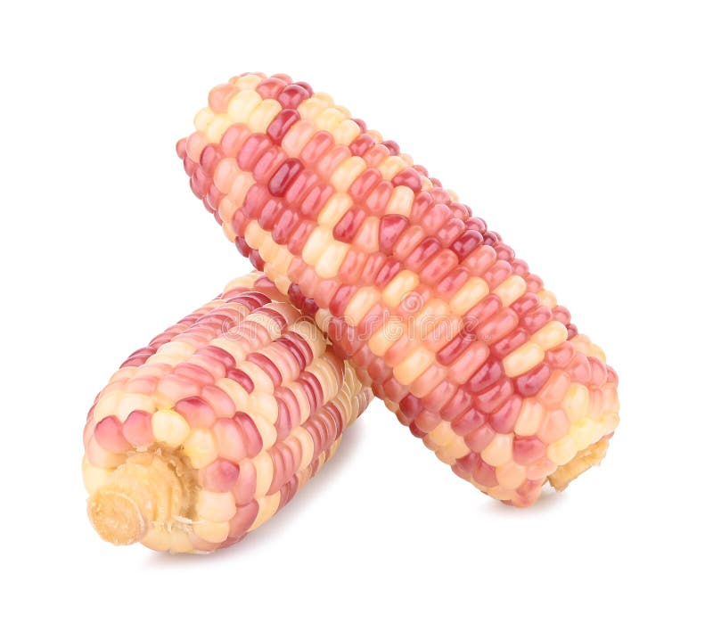 Sticky Texture Waxy Corn Isolated on White Background Stock Photo ...