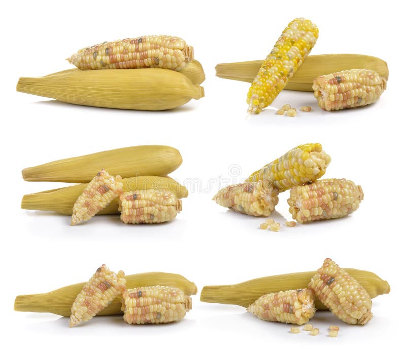Waxy Corn on White Background Stock Photo - Image of purple, grain ...