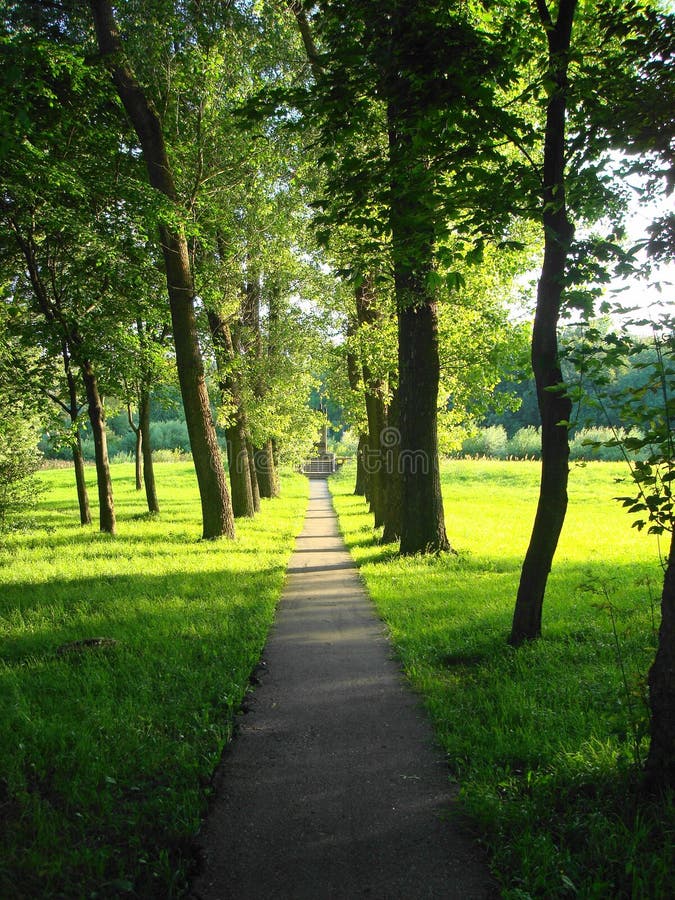 Way stock image. Image of evening, park, landscape, nature - 3231503