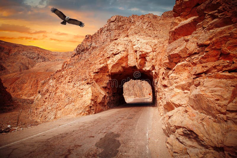 223 Peru Eagle Stock Photos - Free & Royalty-Free Stock Photos from ...