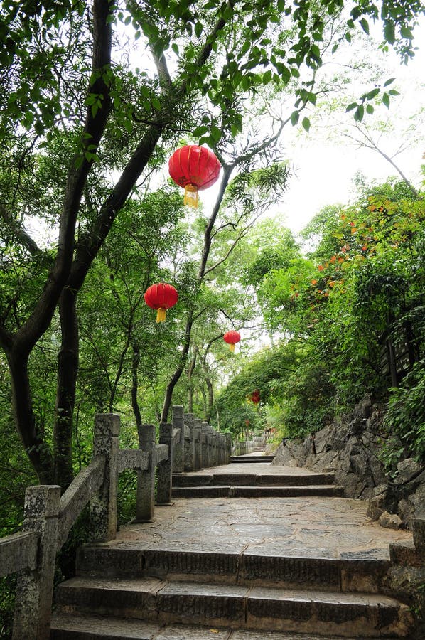 Way chinese lamp on tree stock image. Image of branch - 35971267